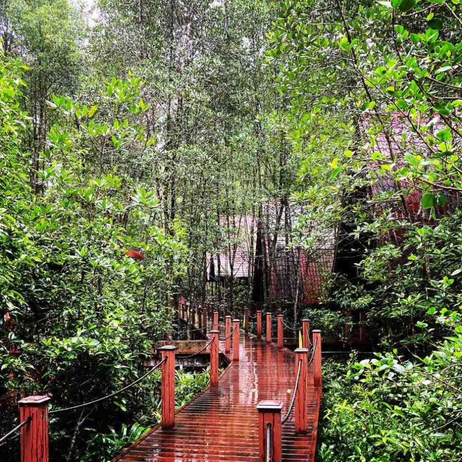 Nature-Based Solutions: A Vital Tool in Combating Climate Change - Azmi ...